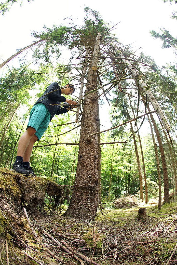 Galerie | Erlebe Bruder Wald