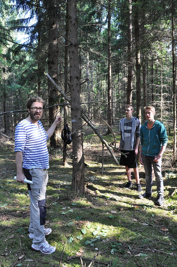 Galerie | Erlebe Bruder Wald