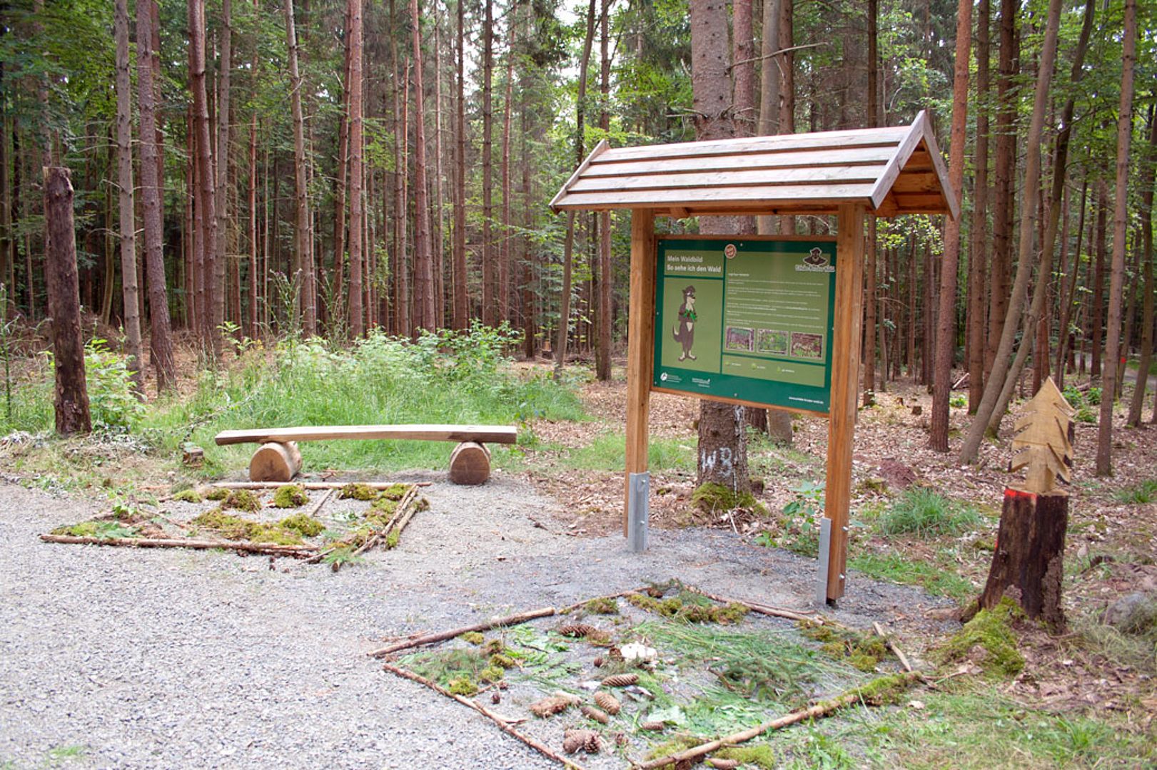 Galerie | Erlebe Bruder Wald